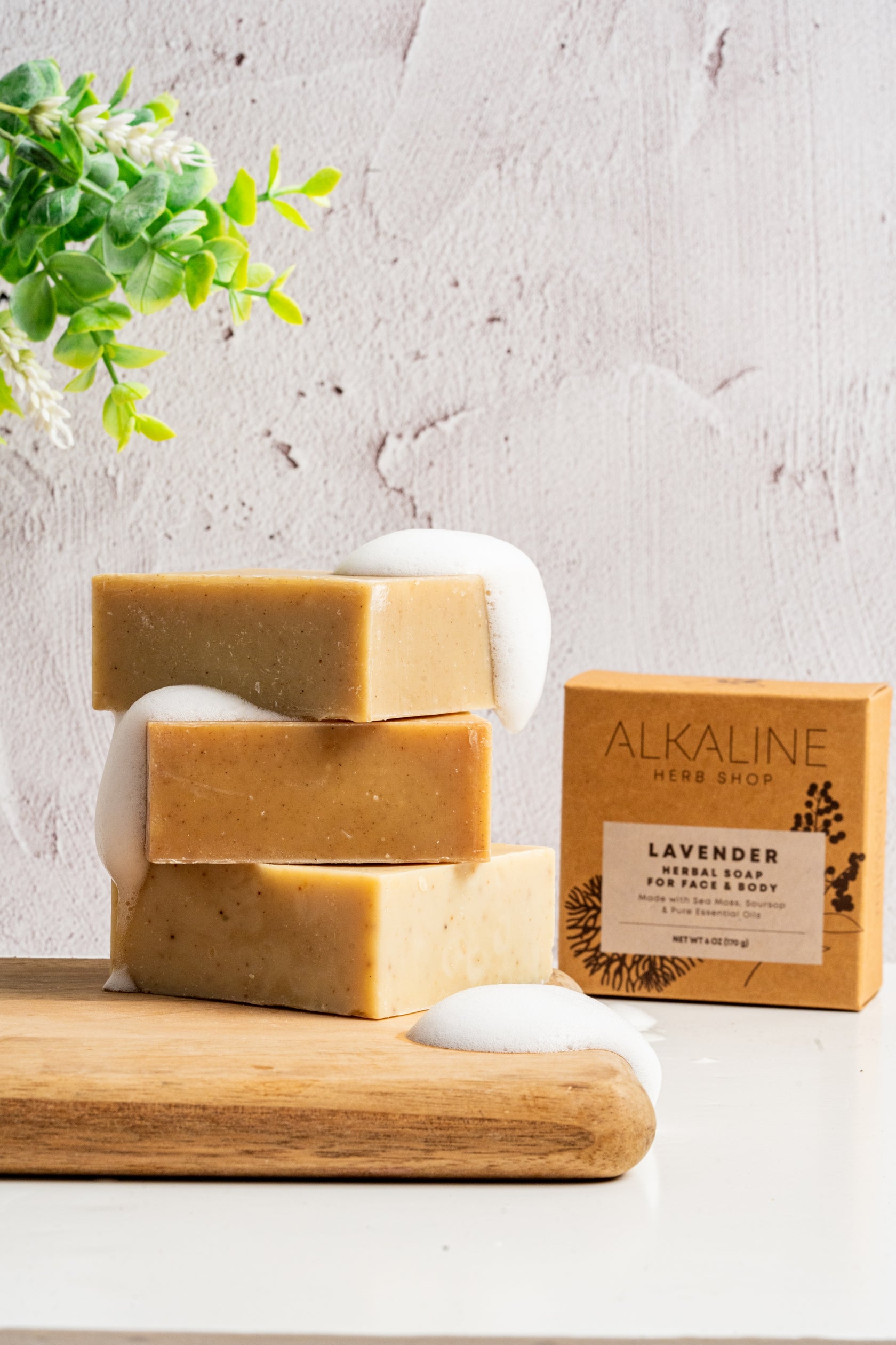 Soursop Soap for Face & Body (6 oz) with Sea Moss – Alkaline Herb Shop